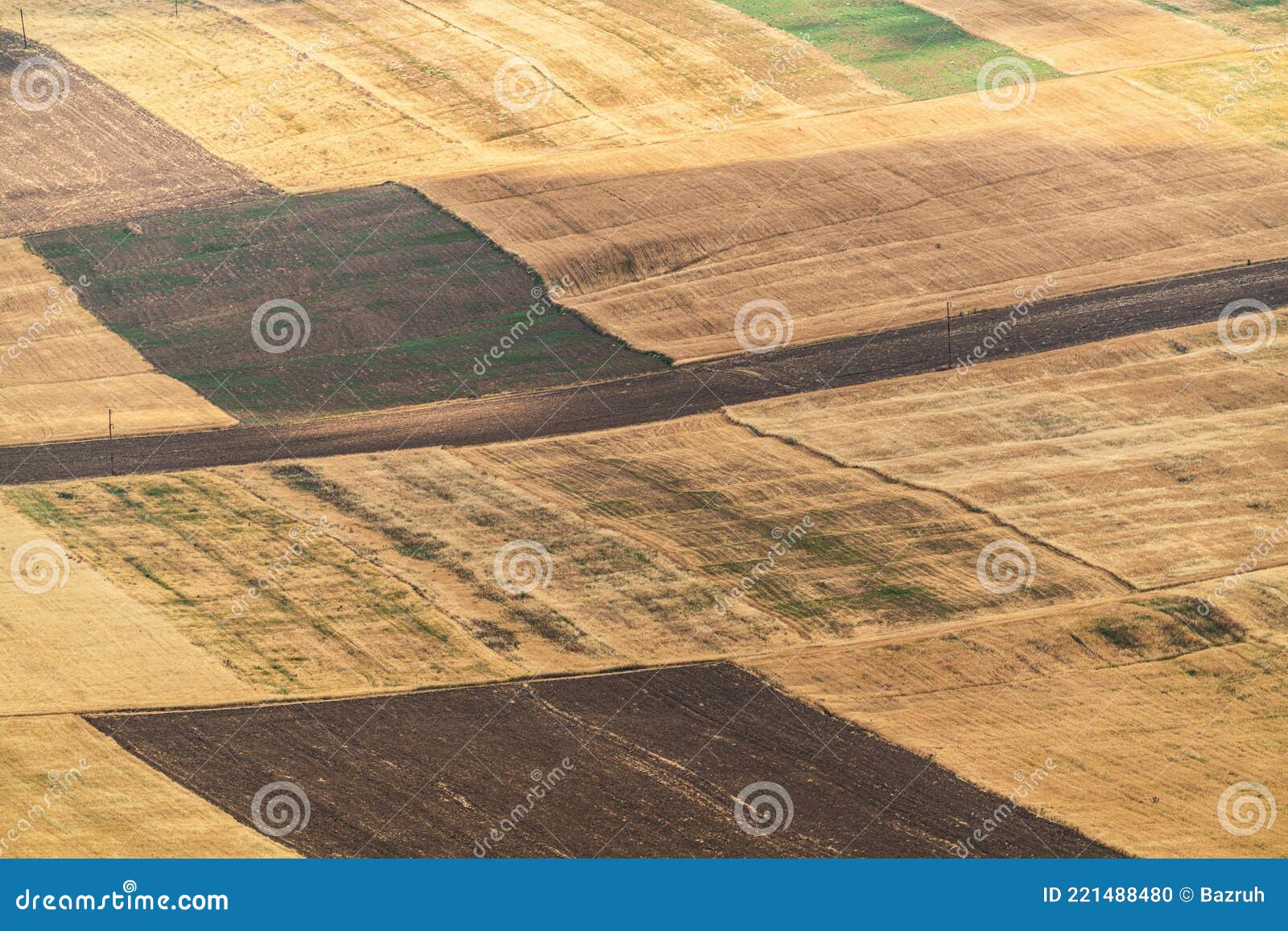 Yellow Farm Fields with Cereals Stock Photo - Image of nature ...
