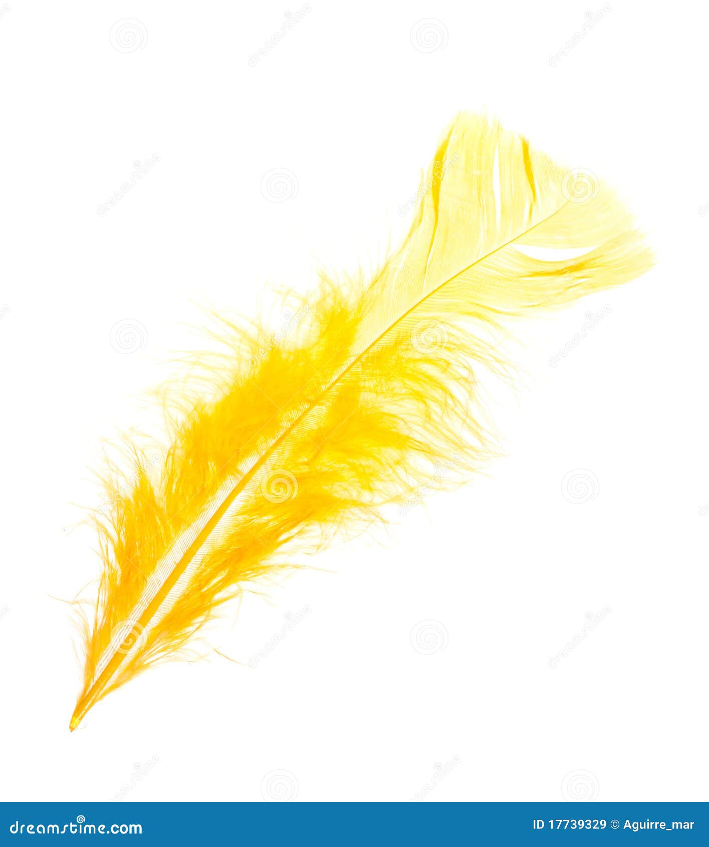 Yellow feather stock image. Image of shaft, stem, bounce - 17739329