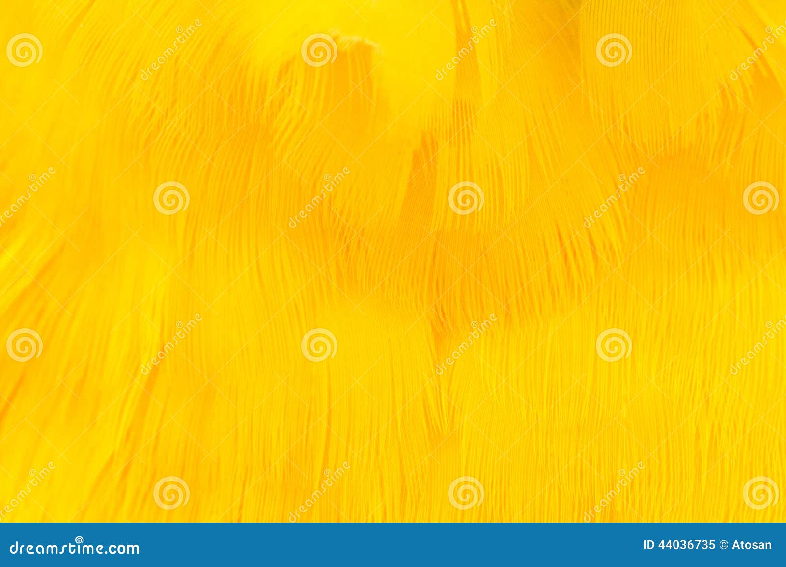Yellow Feather Texture stock image. Image of climate - 44036735