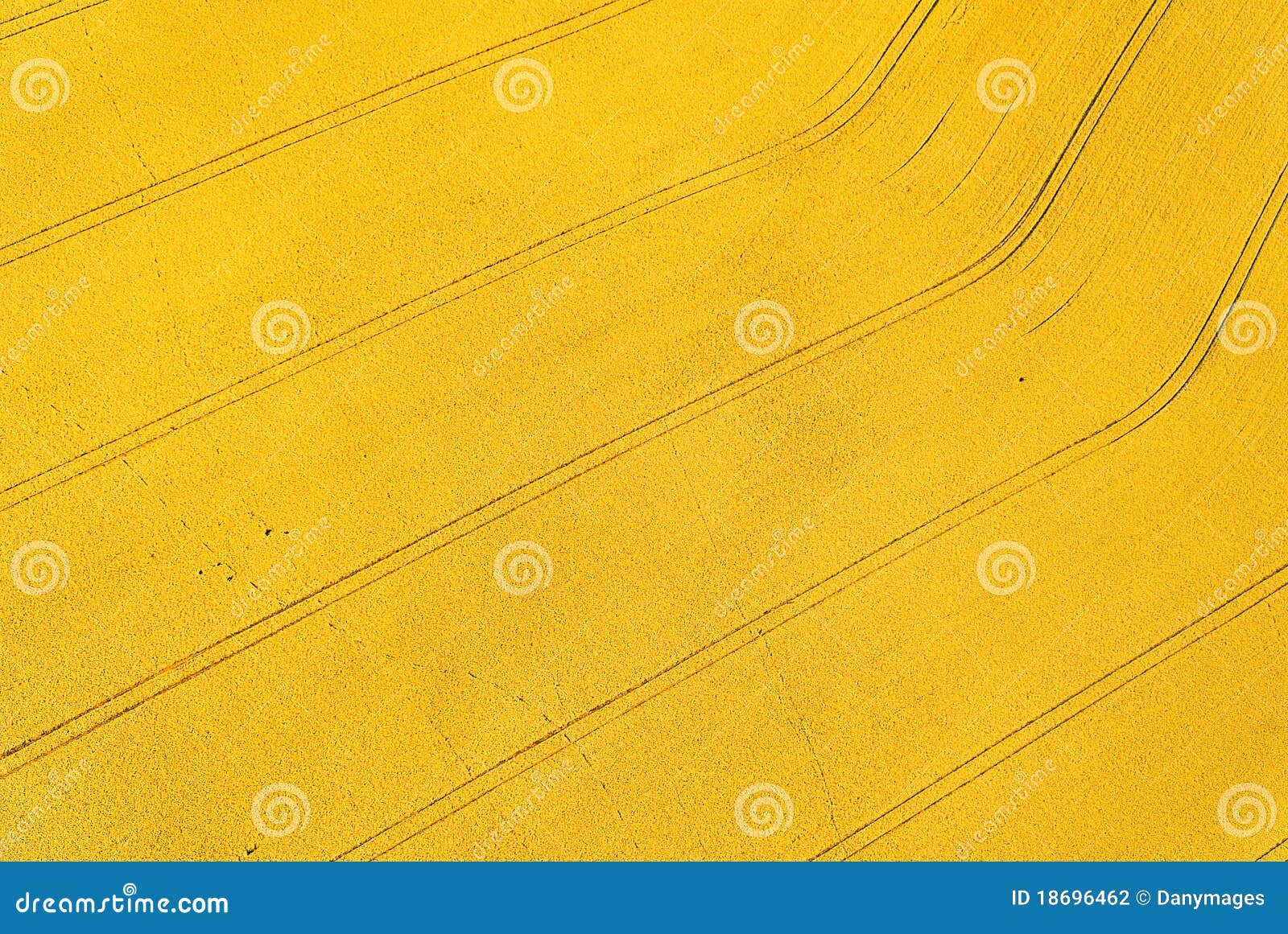 Yellow field stock photo. Image of agriculture, altitude - 18696462