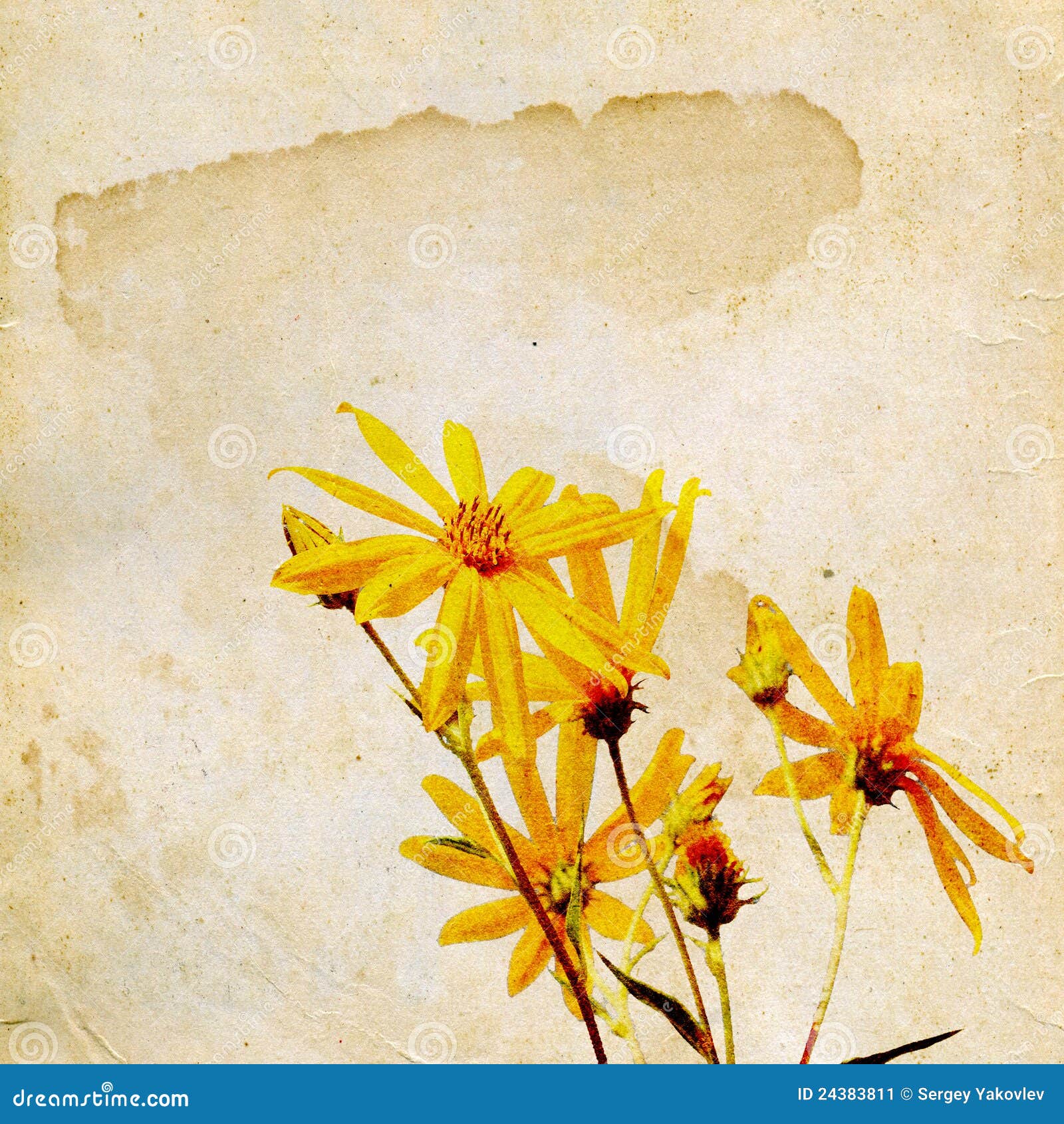 Yellow Paperboard Texture Background Royalty-Free Stock Photography ...