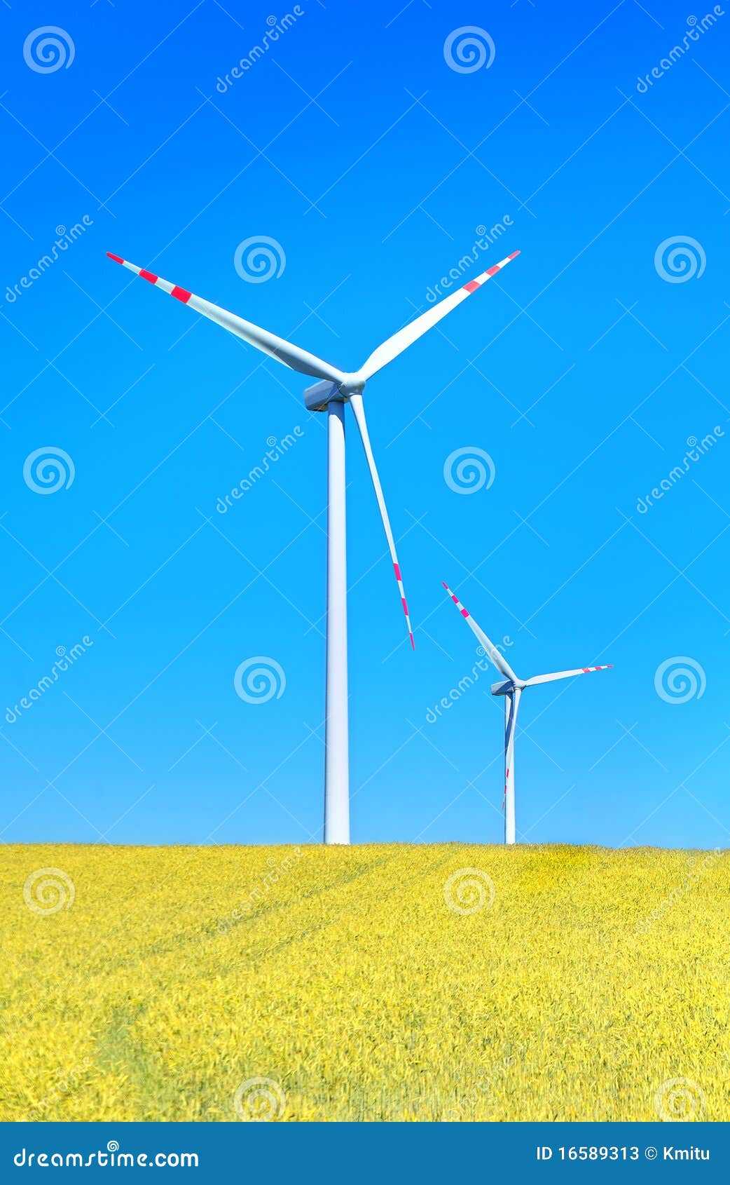 Yellow Field and Wind Turbines Stock Image - Image of country, peaceful ...