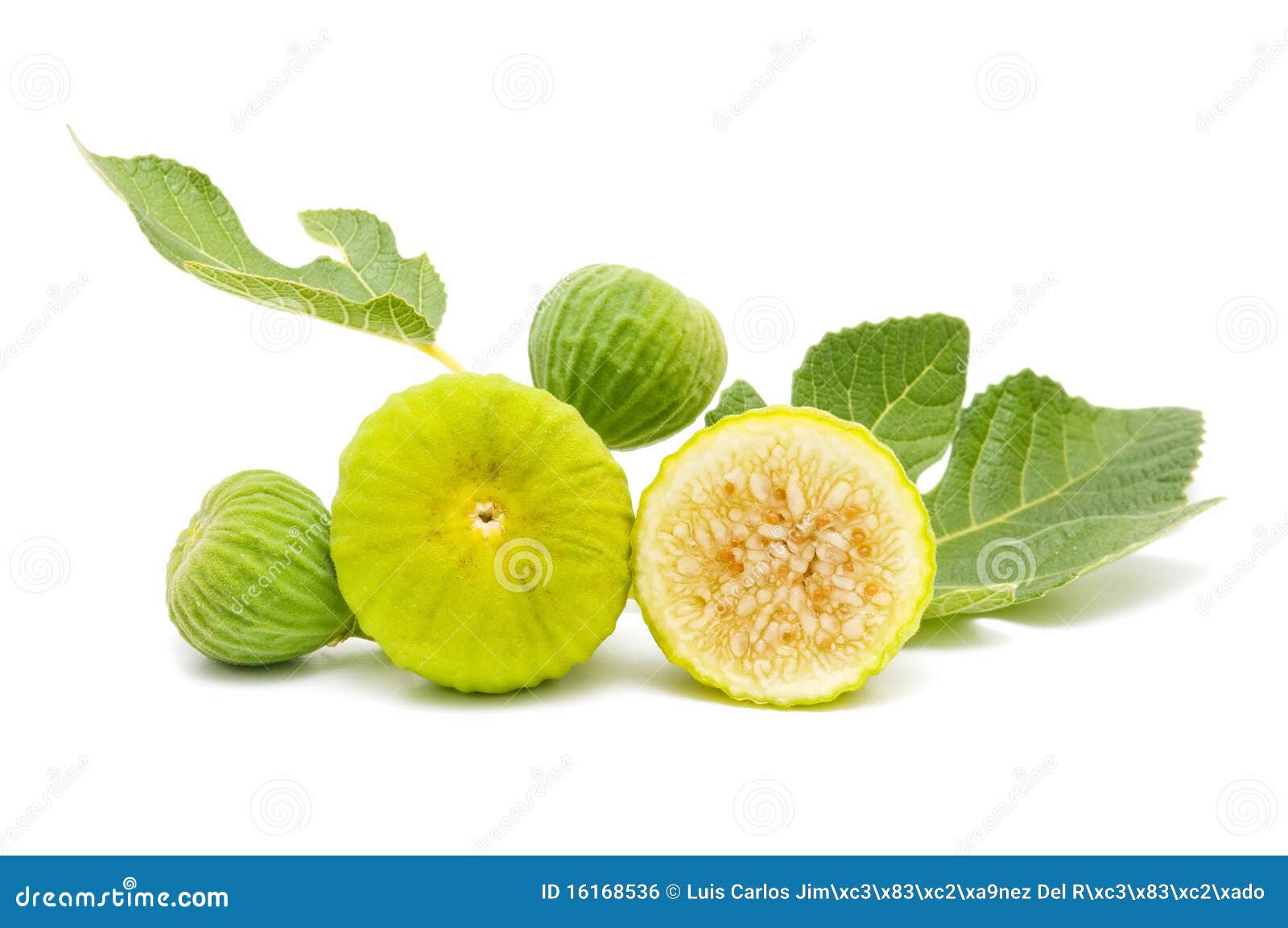 Yellow fig leaves stock photo. Image of organic, fresh - 16168536