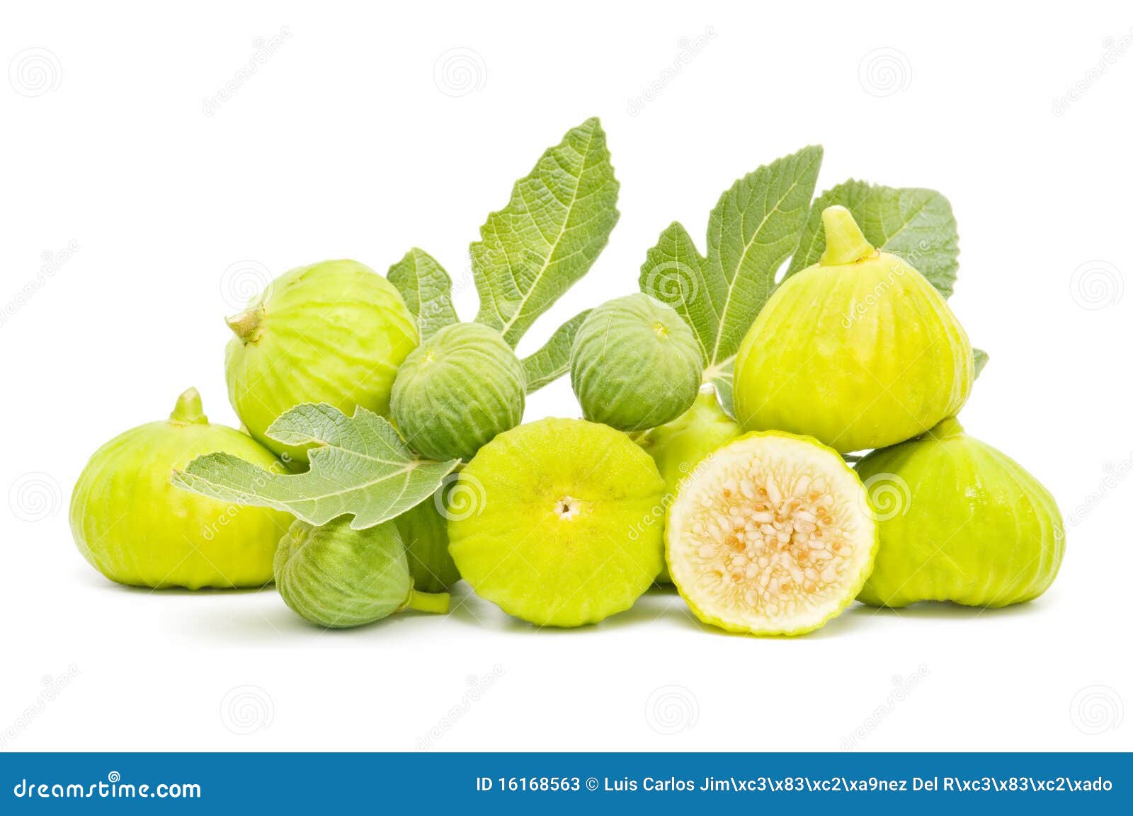 Yellow fig leaves stock image. Image of perspective, stem - 16168563