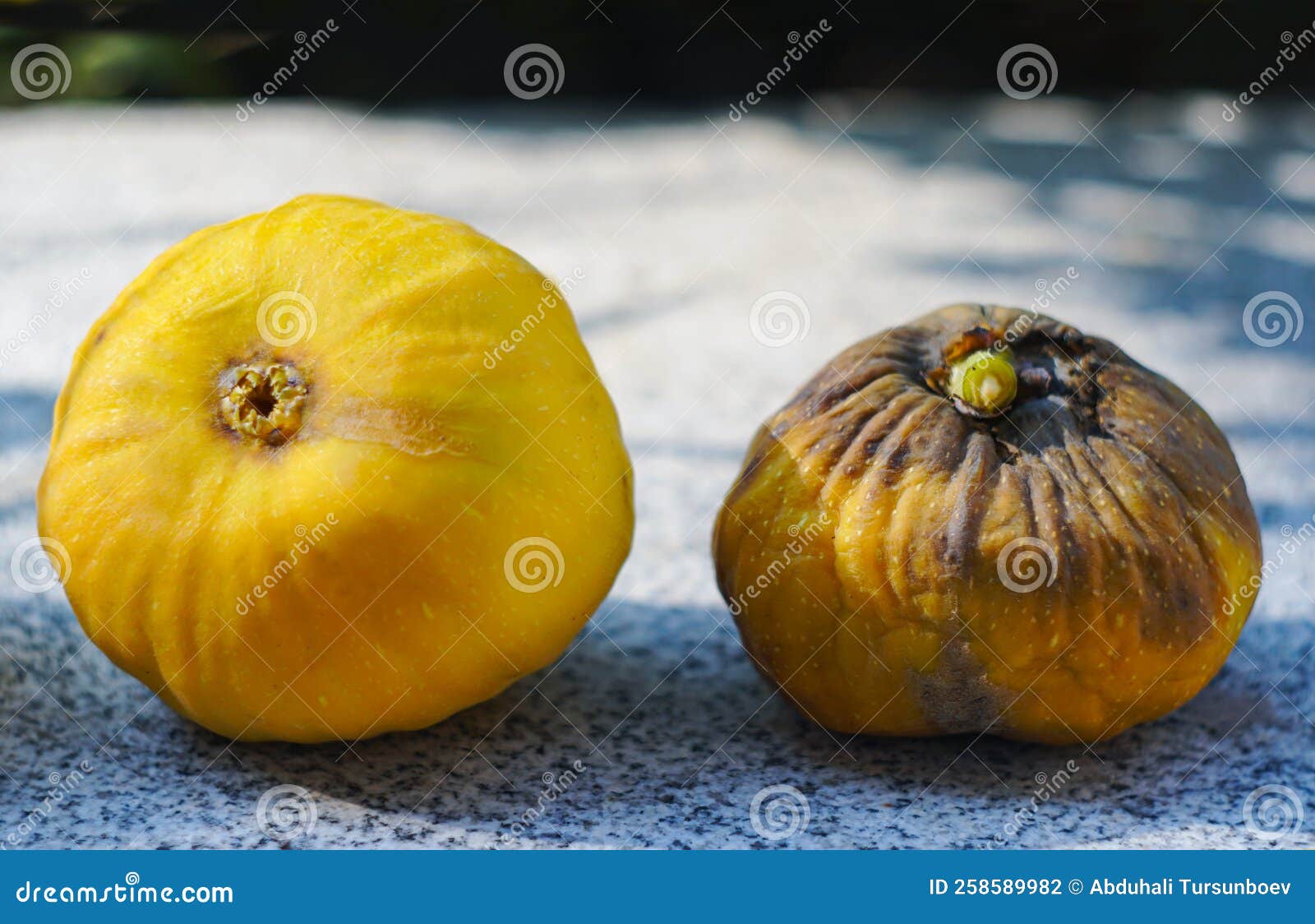 Yellow fig stock photo. Image of nutrition, closeup - 258589982