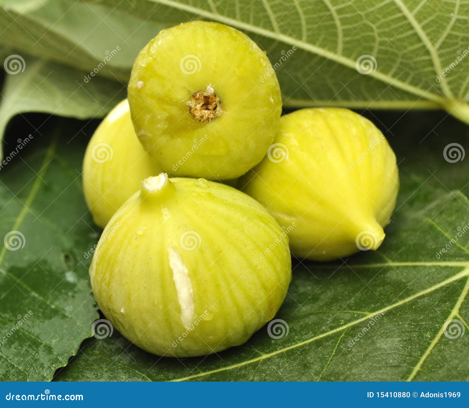 Yellow figs stock photo. Image of leaf, appetizing, nutritious - 15410880