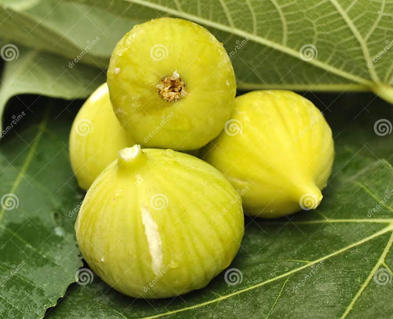Yellow figs stock photo. Image of leaf, appetizing, nutritious - 15410880