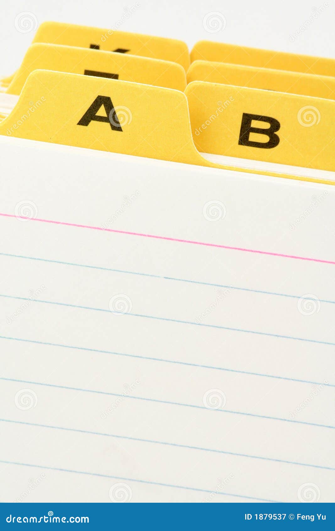 File Divider Royalty-Free Stock Image | CartoonDealer.com #1824286