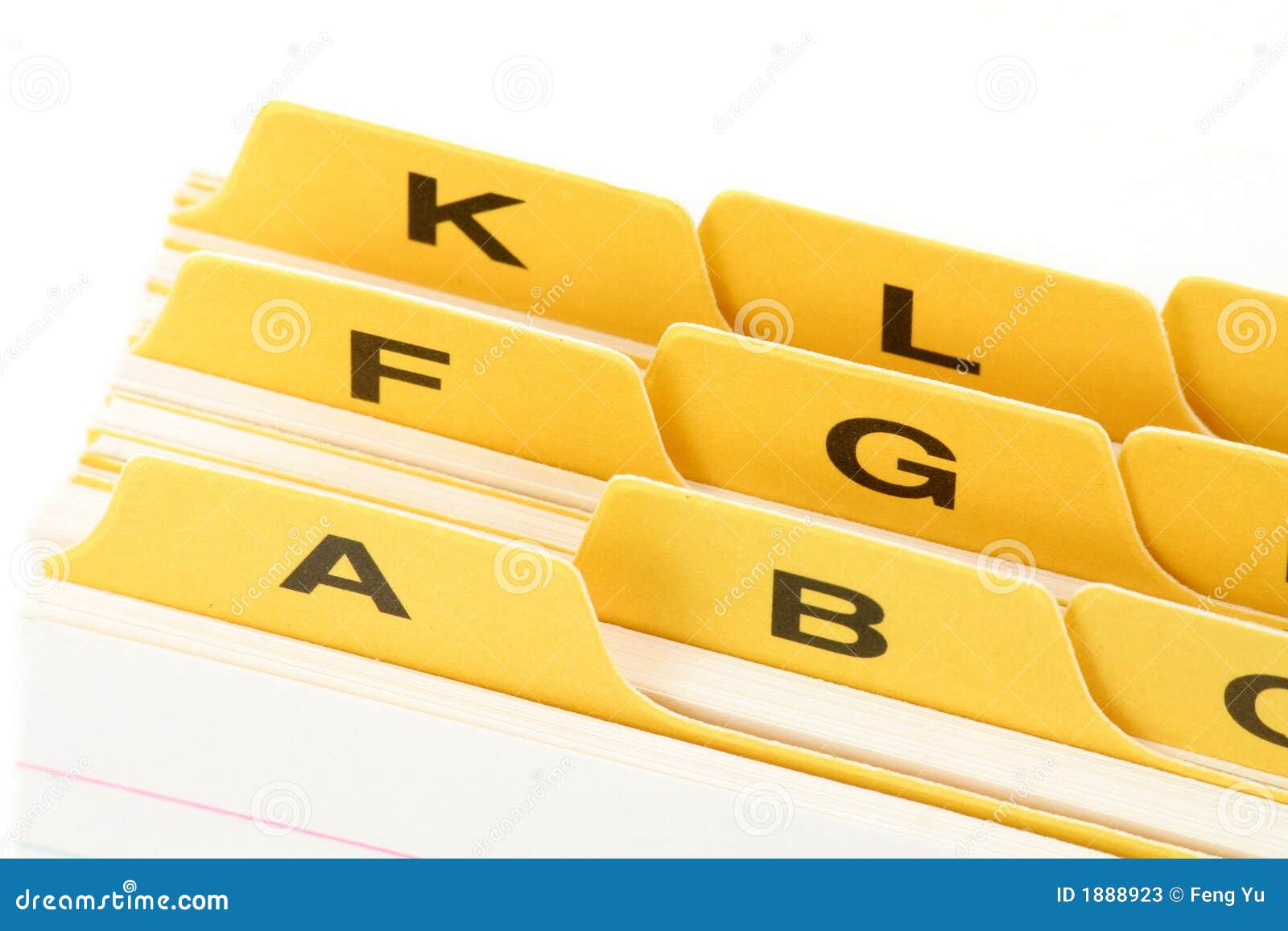 File Divider Royalty-Free Stock Image | CartoonDealer.com #1824286