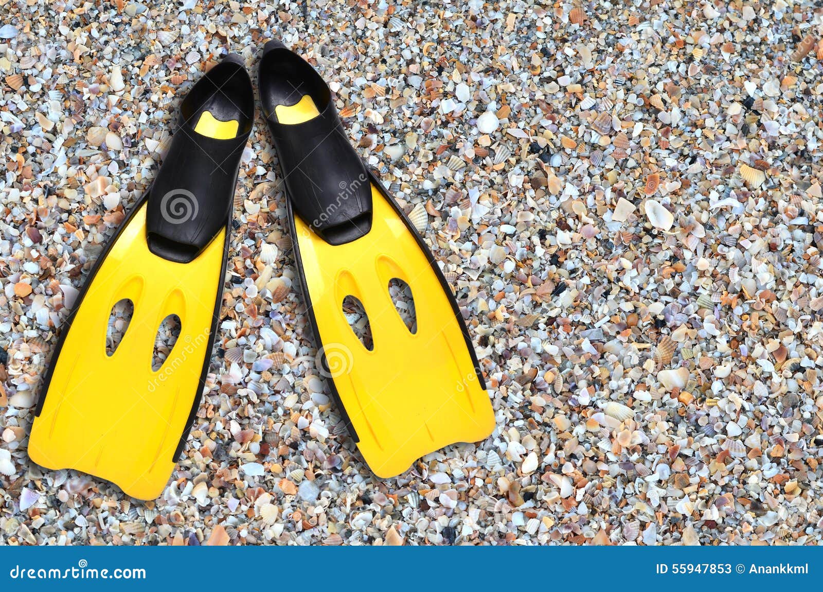 Yellow fins and sand beach stock image. Image of holiday - 55947853