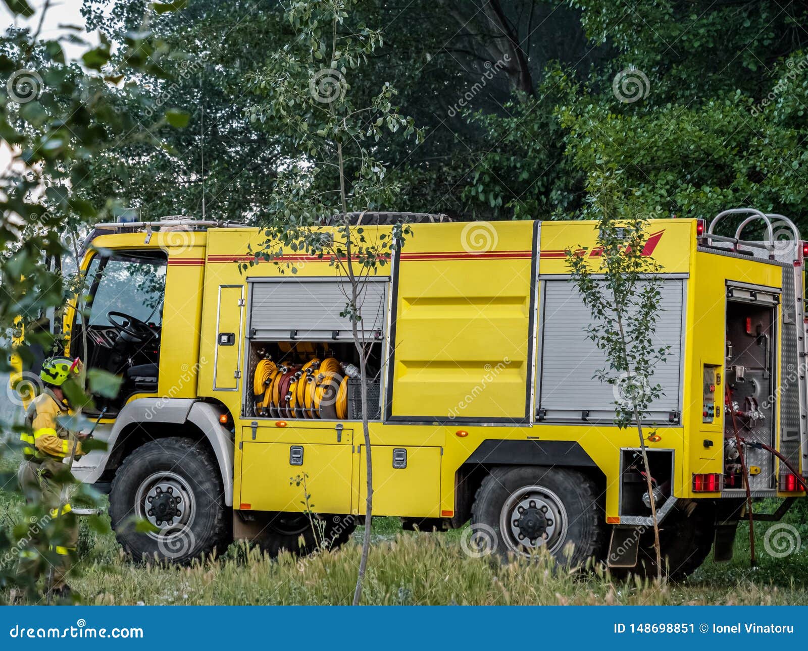 Fire Engine Working Against Fire in a Forest Stock Image - Image of ...