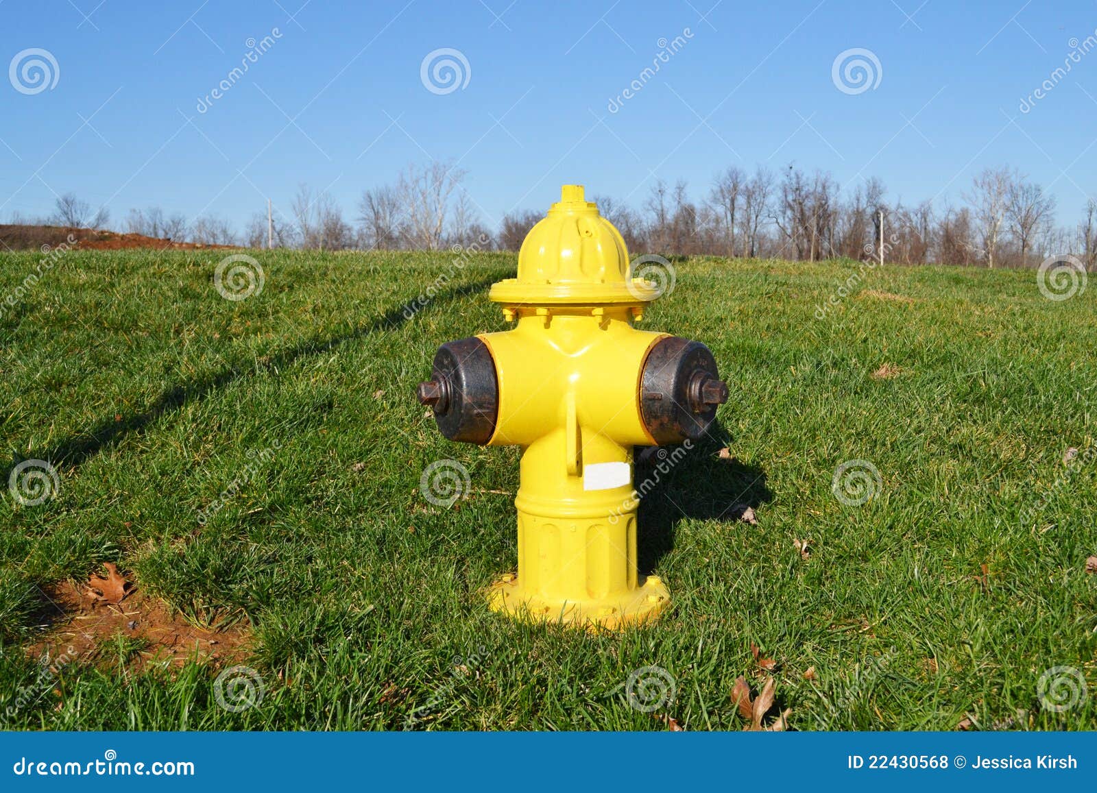 Yellow Fire Hydrant Connections. Fire Hydrant Or Fire Pump, Represents ...
