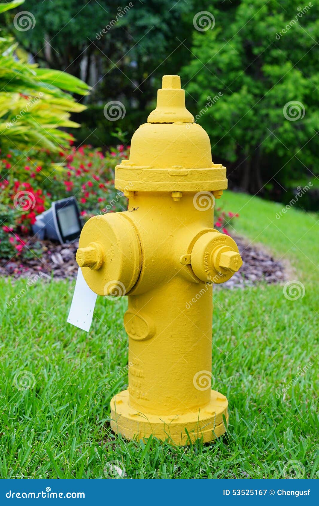 Yellow Fire Hydrant with a Grass Background Stock Image - Image of ...