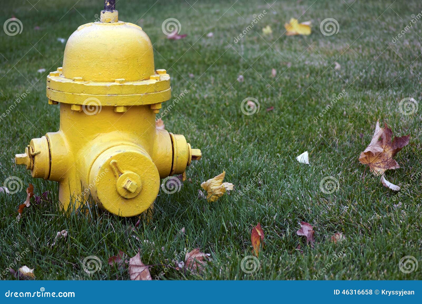 Yellow Fire Hydrant in Grass Stock Photo - Image of sunny, supply: 46316658