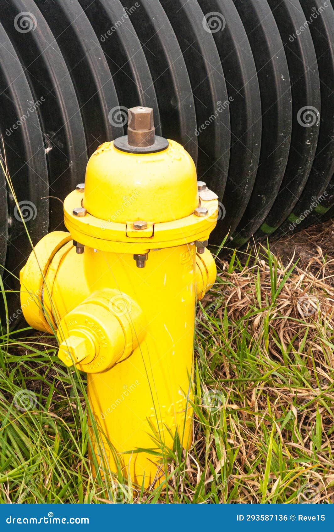 Yellow Fire Hydrant, at a Housing Construction Site Stock Photo - Image ...