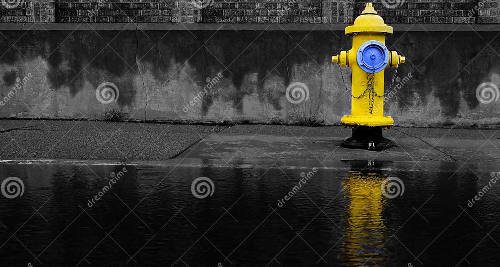 Yellow Fire Hydrant Reflected in Pool of Water Flood Stock Image ...