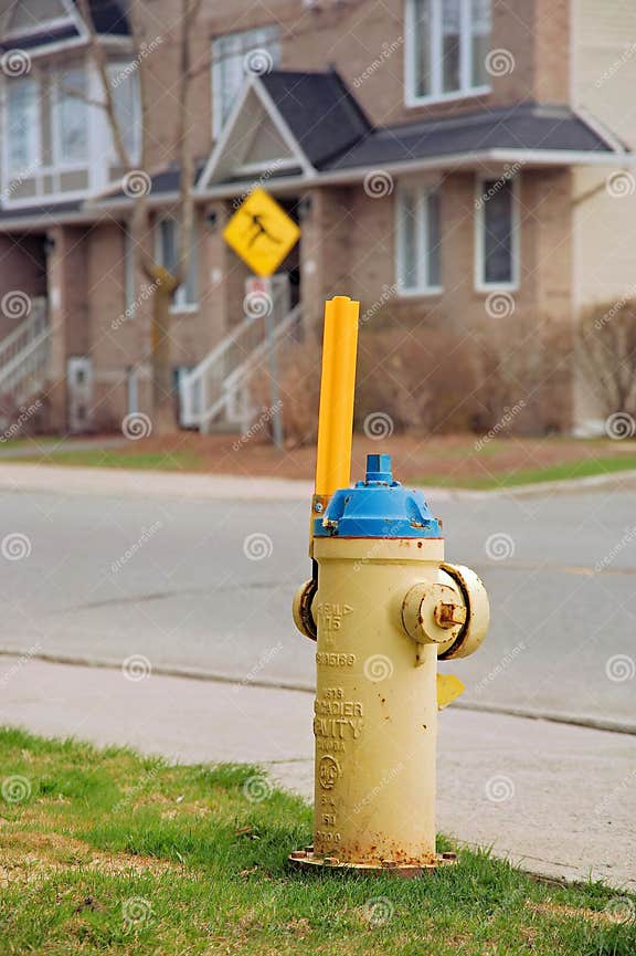 Yellow Fire Hydrant on the Roadside. Ottawa, Canada Stock Photo - Image ...