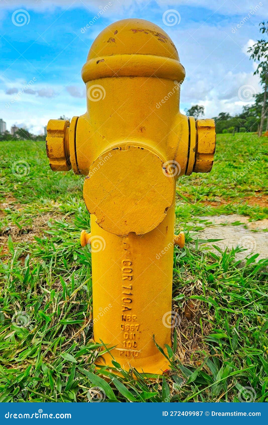 Yellow Fire Hydrant in Park Stock Image - Image of water, yellow: 272409987