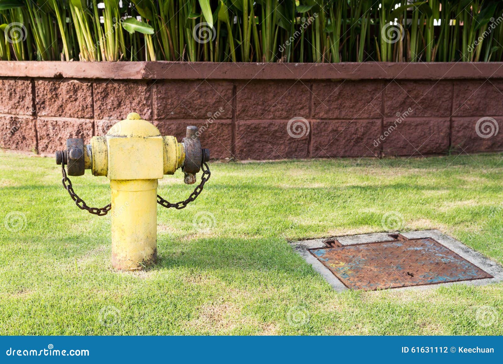 Yellow Fire Hydrant at Strategic Residential Ready for Emergency Stock ...