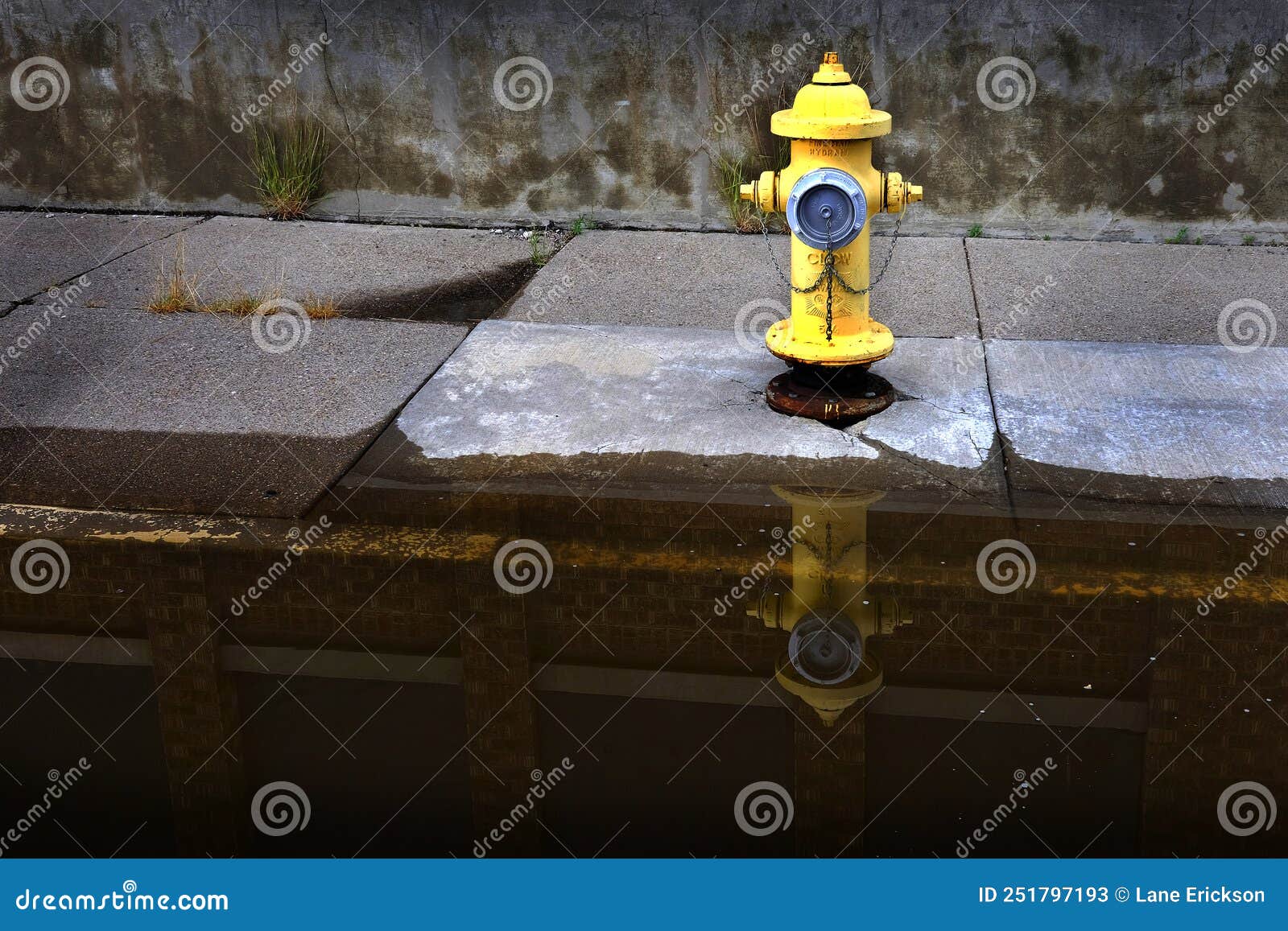 Yellow Fire Hydrant Reflected in Puddle of Water in Gutter Road Stock ...