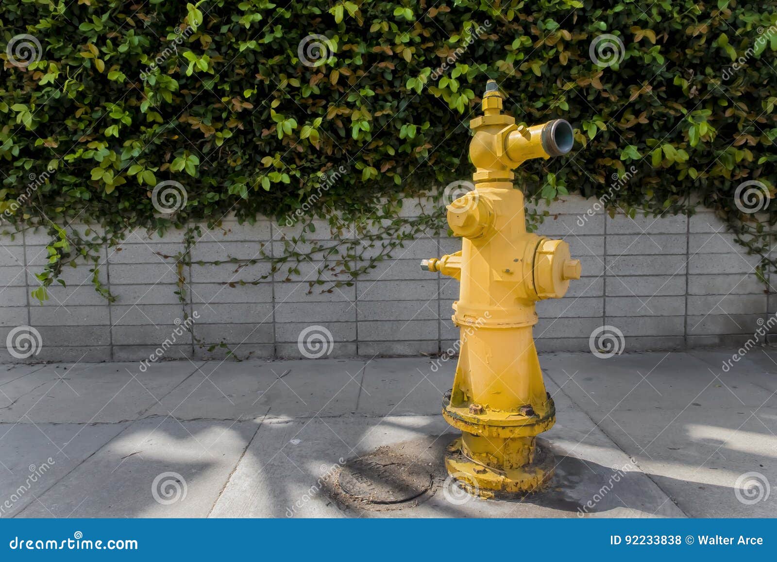 Yellow Fire Hydrant stock photo. Image of drink, plug - 92233838