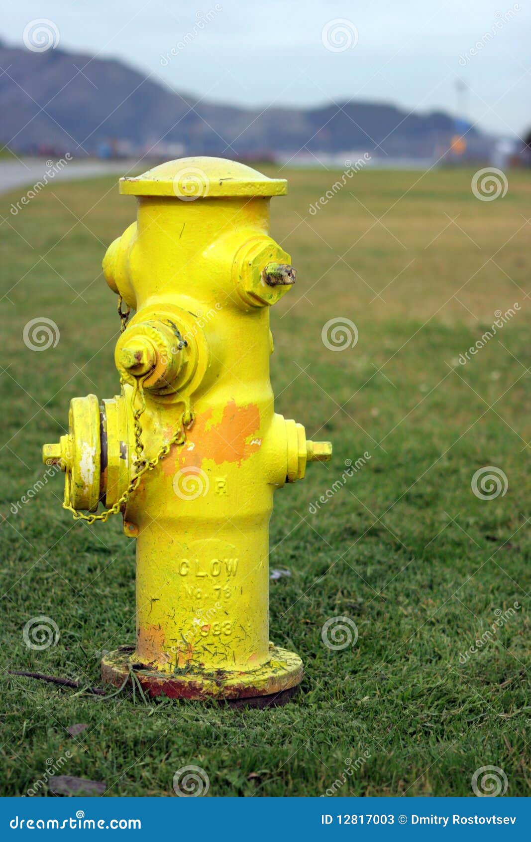 Yellow fire-plug stock image. Image of plug, grass, fireplug - 12817003