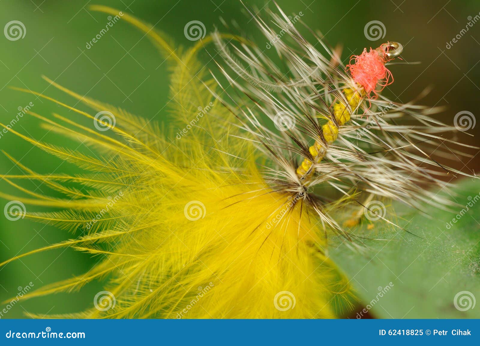 Yellow fishing fly stock image. Image of leisure, lure - 62418825