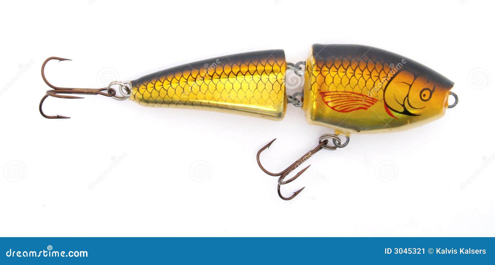 Fishing Lure Hanging From A Pine Tree Branch; Not Your Typical Pine ...