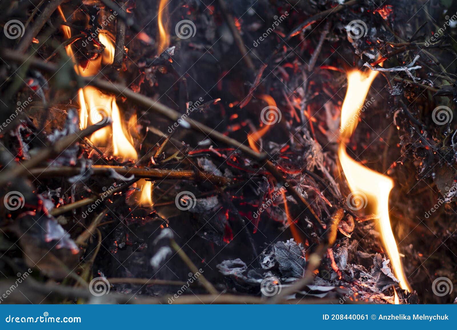 Yellow Flame is Burning from the Fire Stock Image - Image of design ...