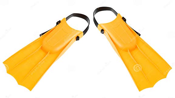 Yellow flippers stock photo. Image of vacations, clothing - 20537972