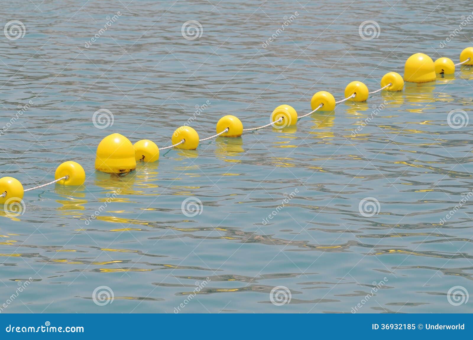 Yellow Floaters stock image. Image of bray, fish, texture - 36932185