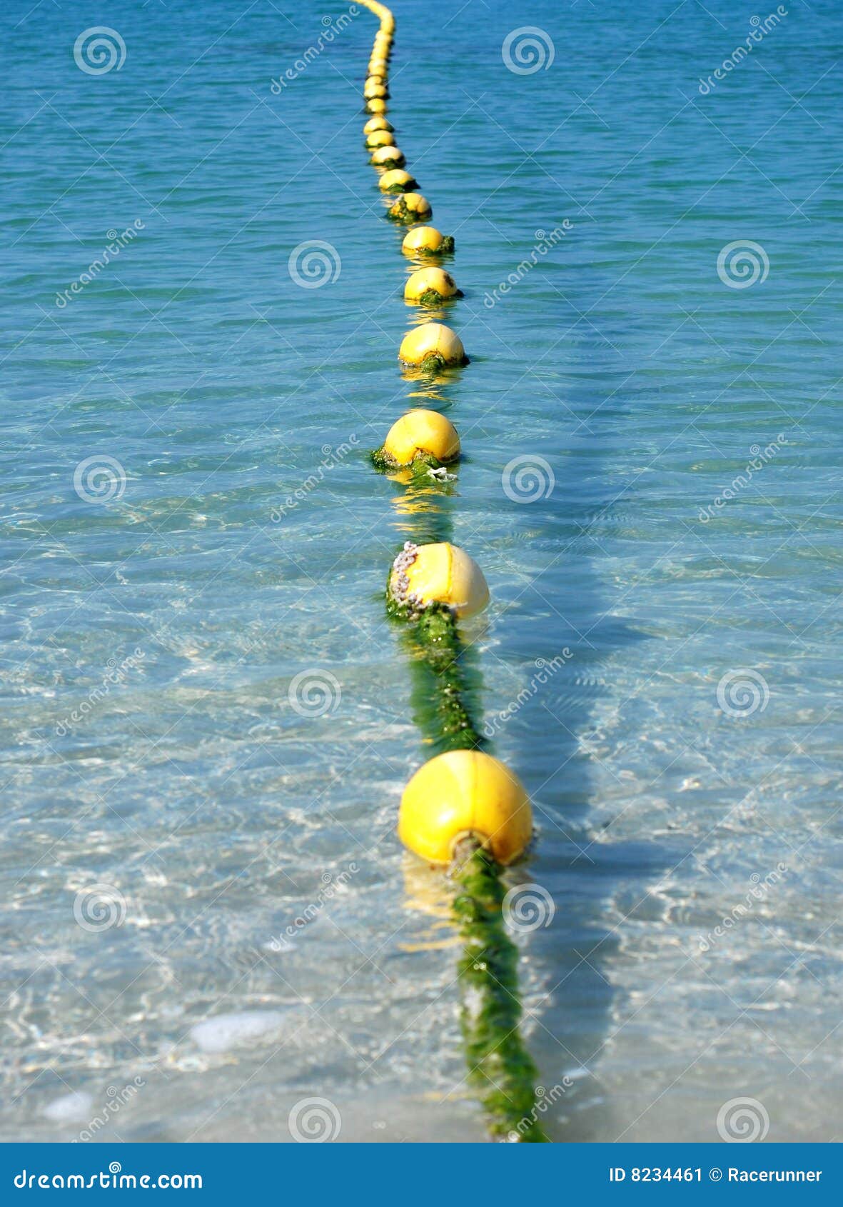 Yellow floats line stock image. Image of float, rope, line - 8234461