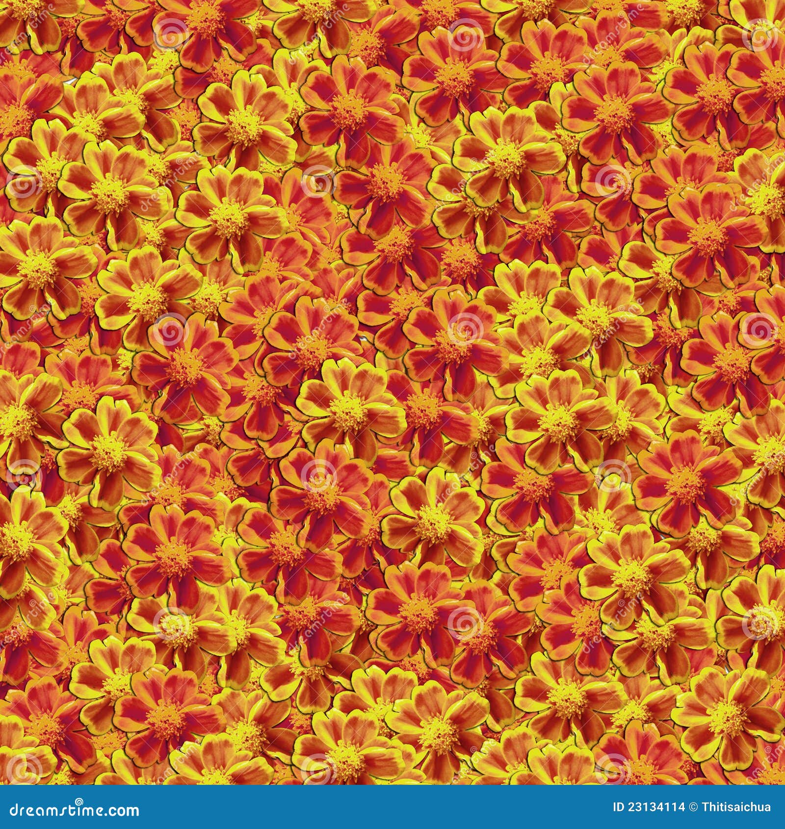 Yellow Flower Abstract Background Stock Photo - Image of background ...