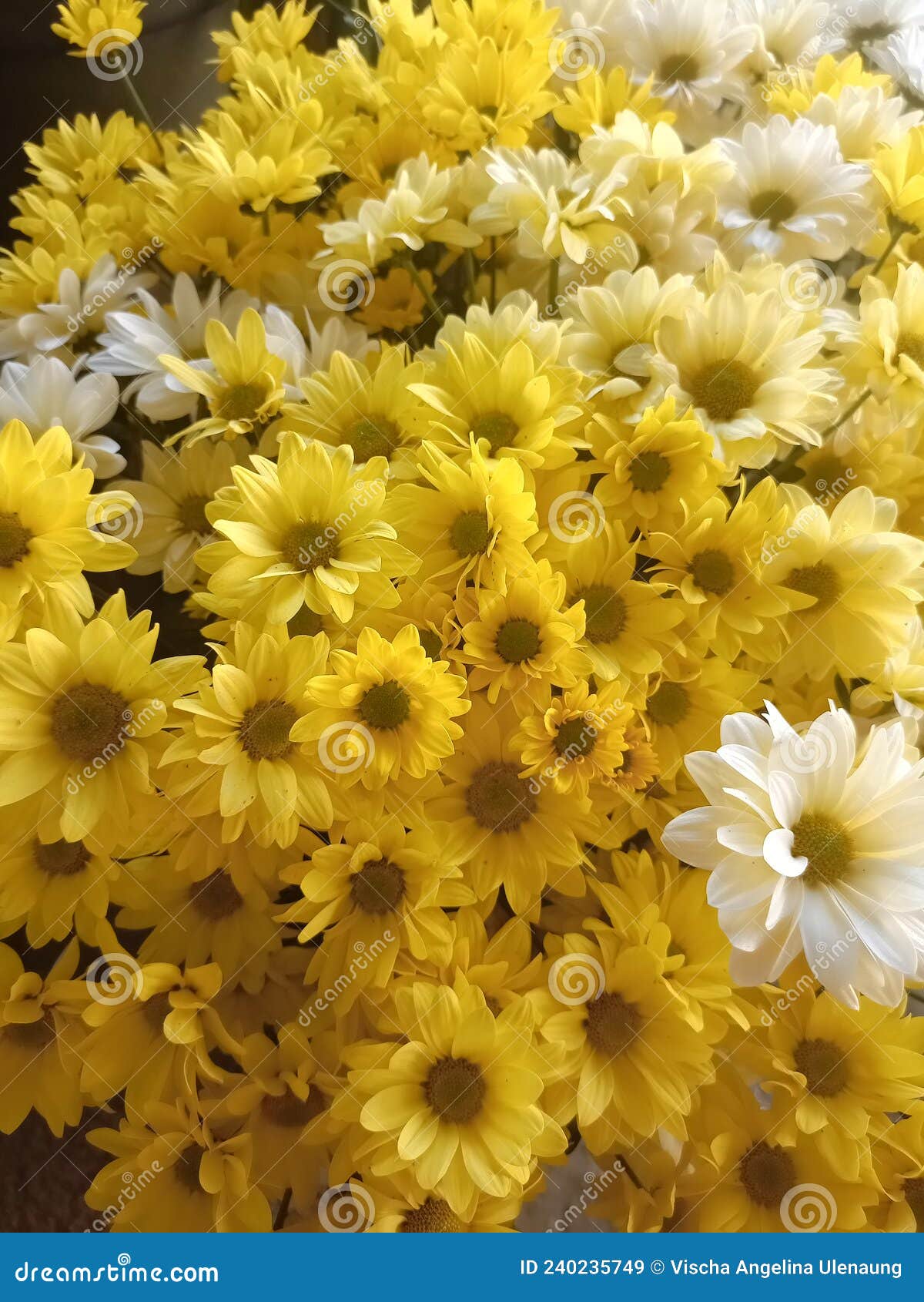 Yellow flower arrangement stock image. Image of produce - 240235749