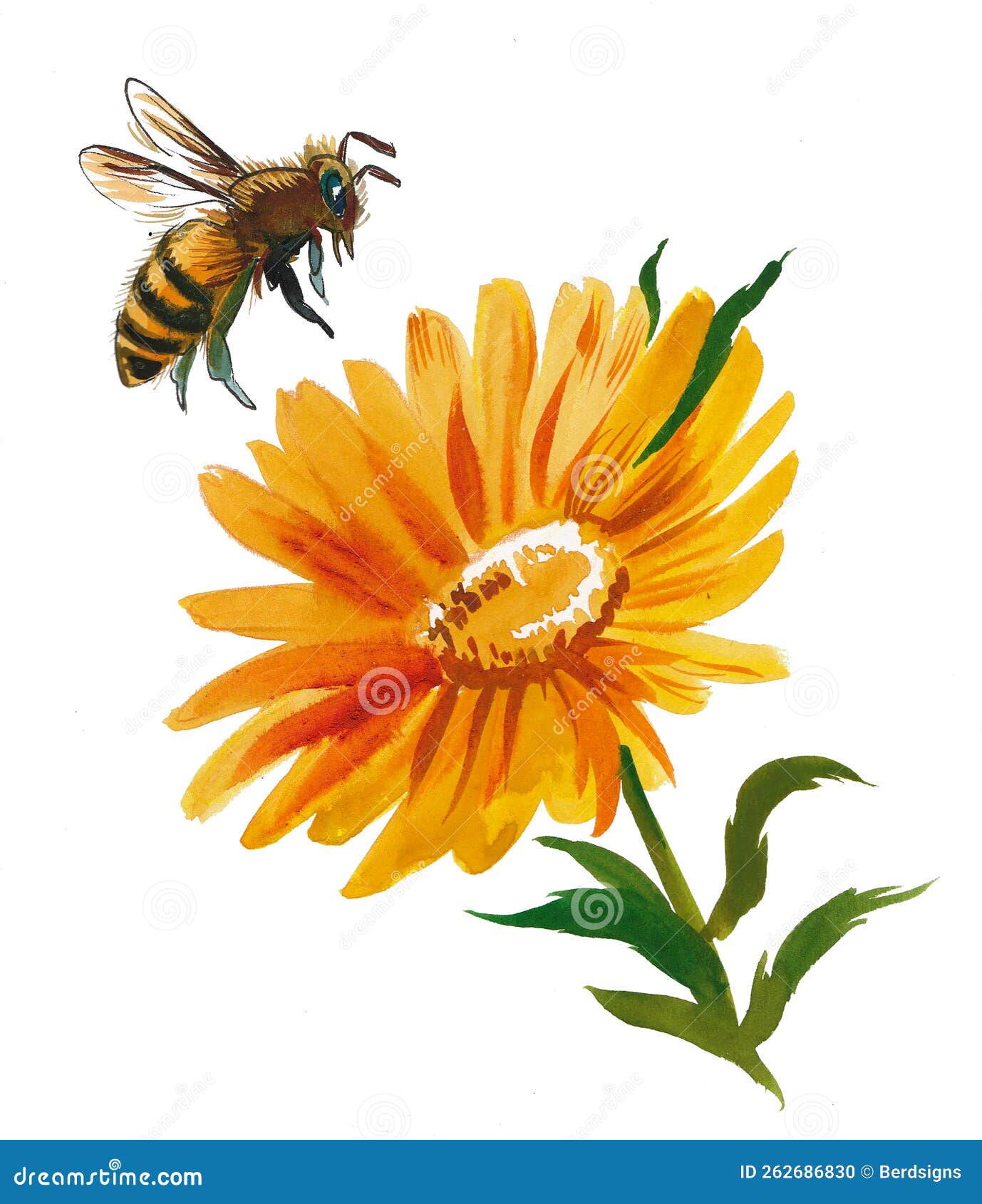 Yellow flower and bee stock illustration. Illustration of honey - 262686830