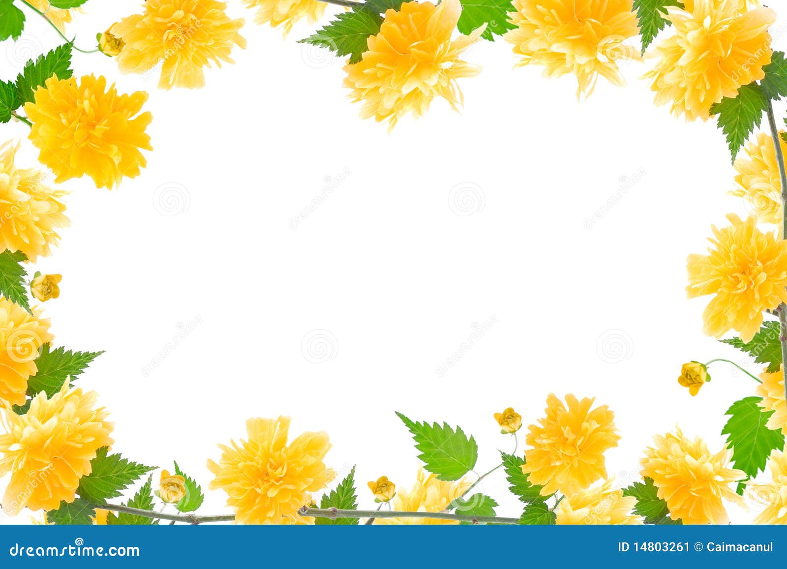 Yellow flower frame stock illustration. Illustration of decorative ...