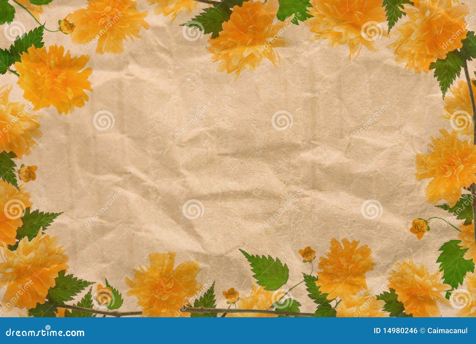 Yellow flower frame stock photo. Image of decoration - 14980246