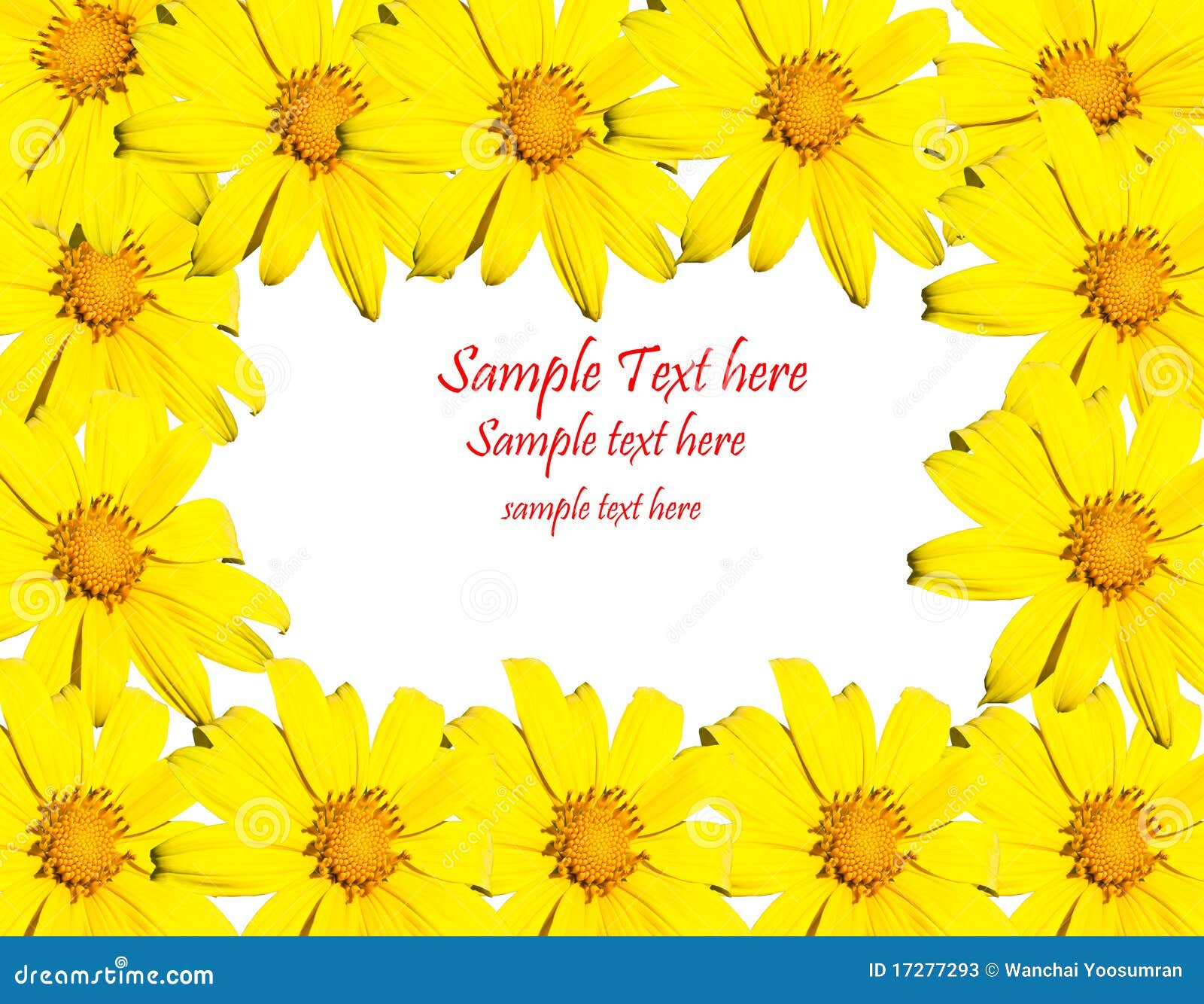 Yellow flower frame stock image. Image of gallery, macro - 17277293