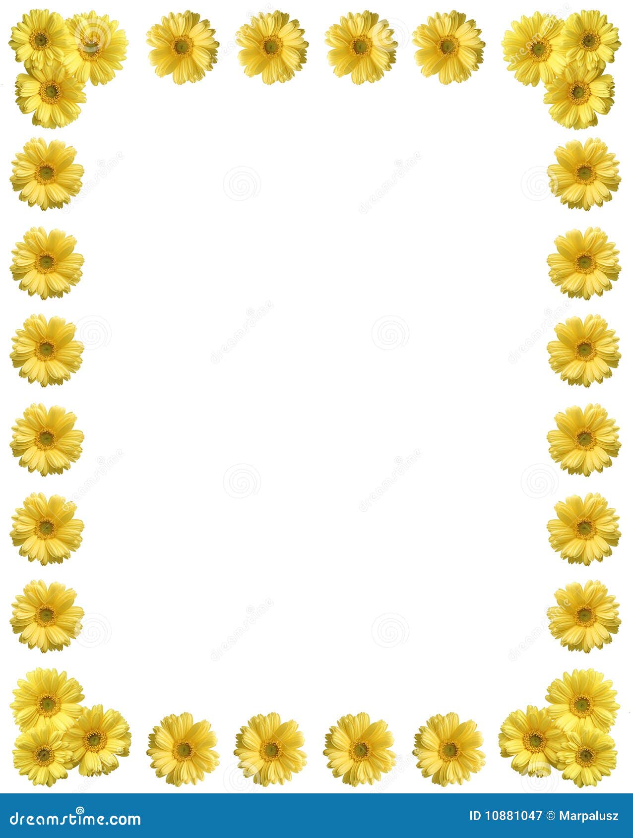 Yellow Flower Frame with Copy Space Stock Image - Image of blossom ...