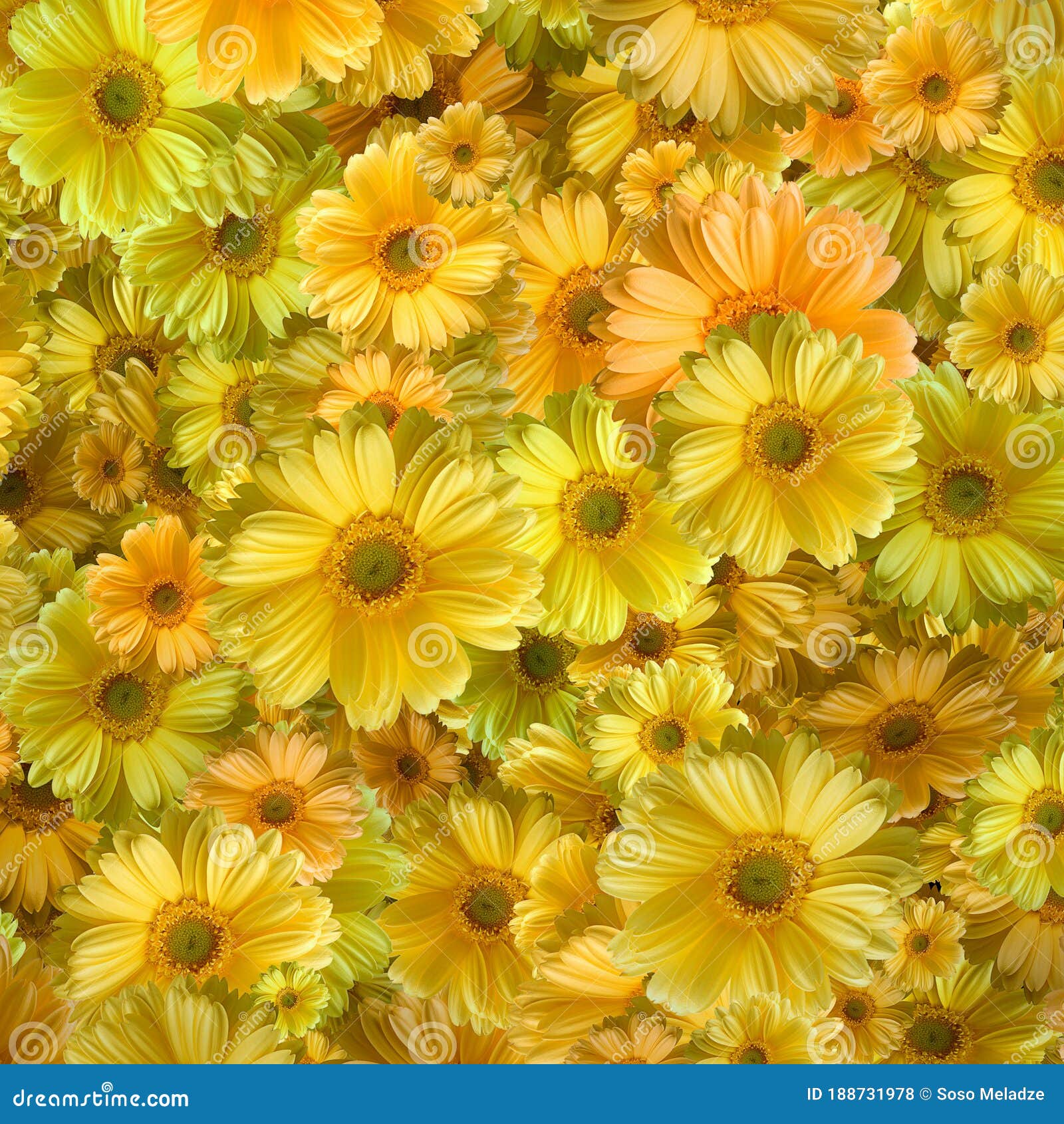 Yellow Flower Pattern Background. Flower Pattern for Design, Wallpaper ...