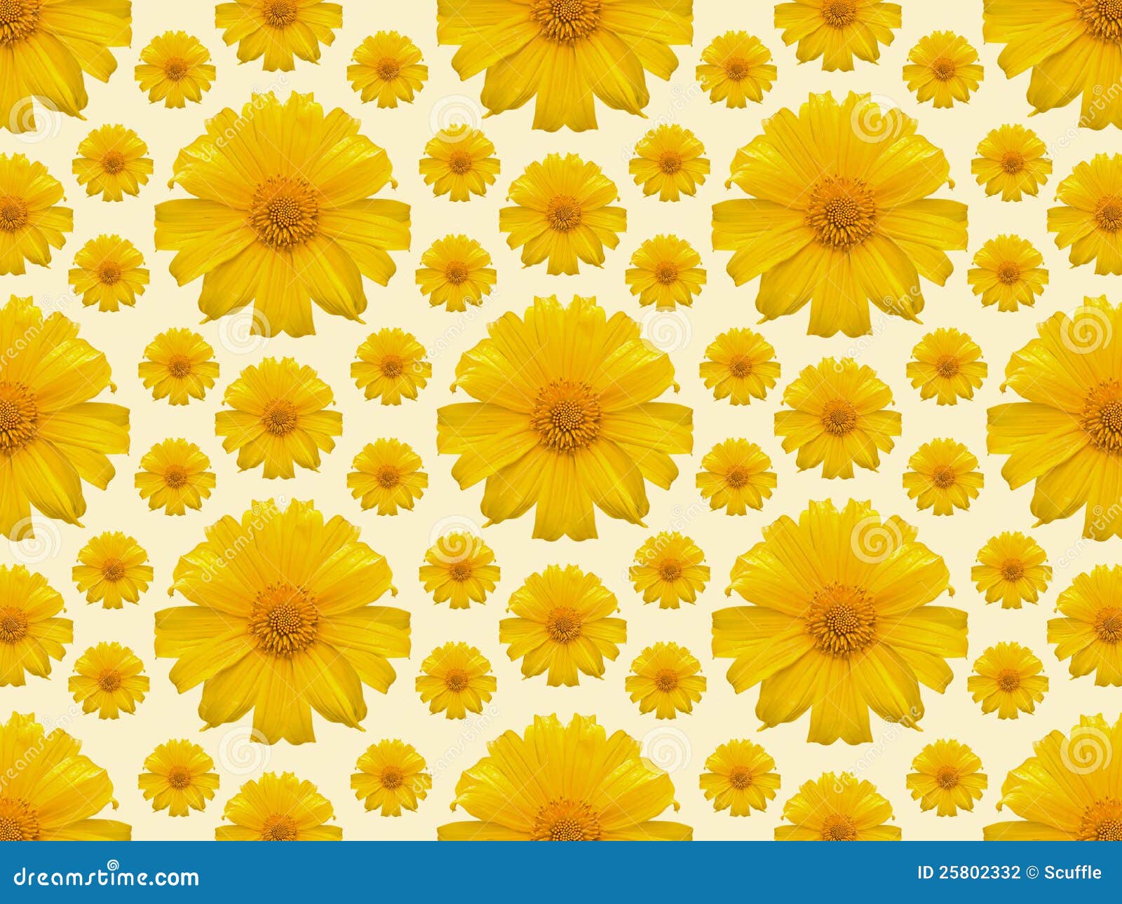 Yellow Flower Repeat Background Stock Photo - Image of nature ...
