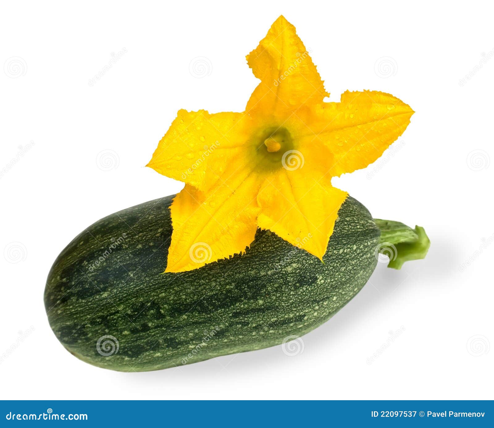 Yellow Flower and Ripe Vegetable Stock Image - Image of yellow, flower ...