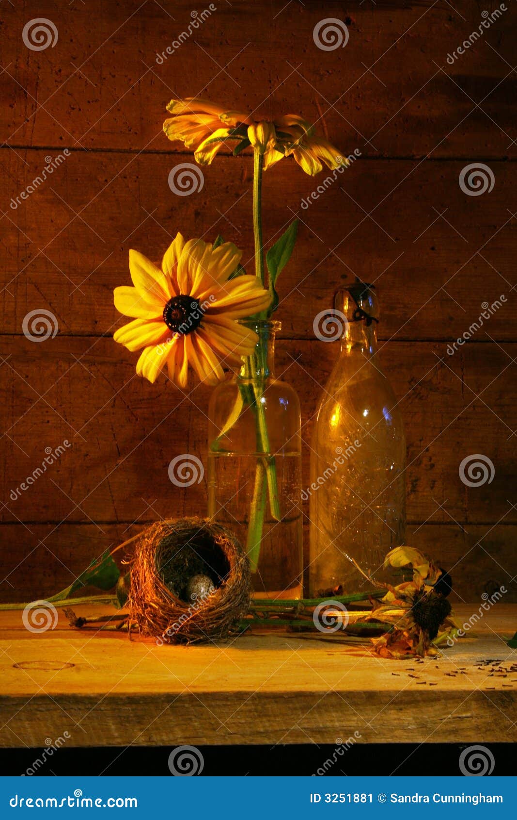 Flower Still Life With Texture Stock Image | CartoonDealer.com #66552313