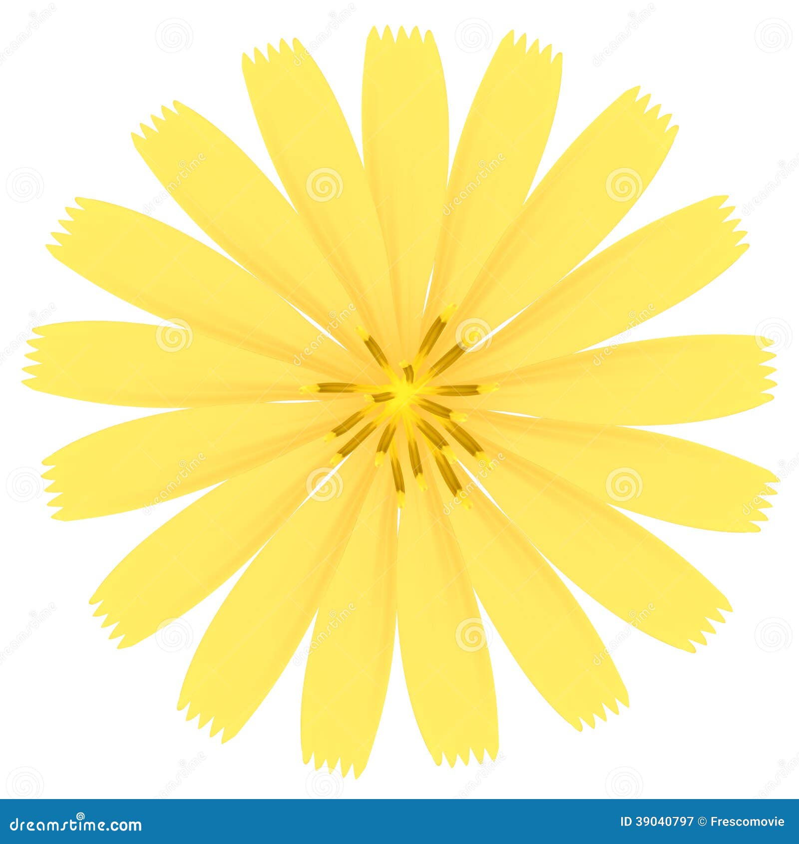 Yellow Flower. Vector Illustration Stock Vector - Illustration of fresh ...