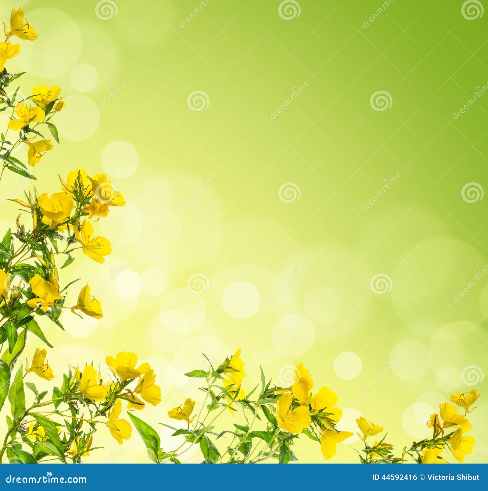 Yellow Flower Corner Border