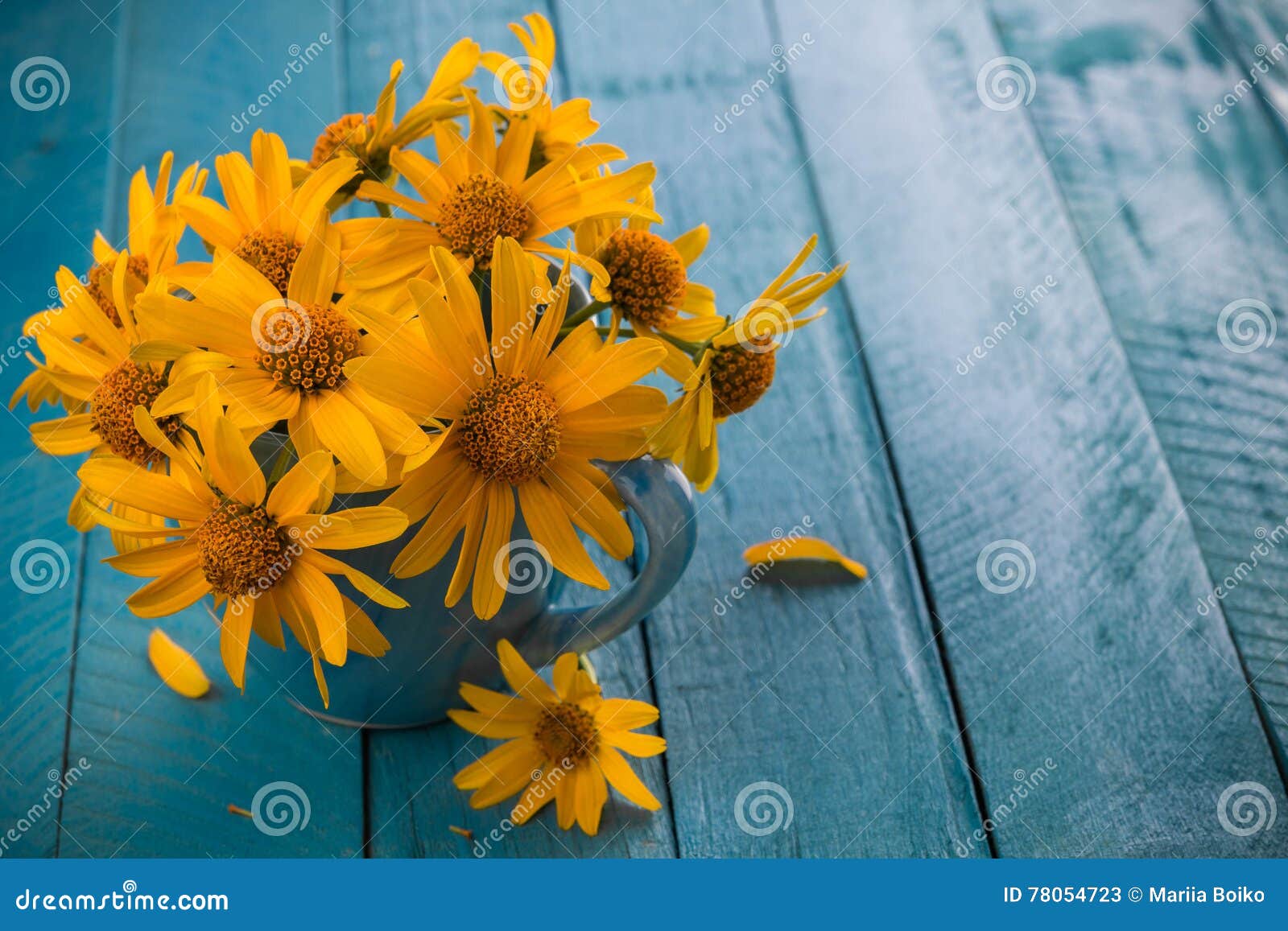 Yellow flowers in a cup stock image. Image of daisy, plant - 78054723