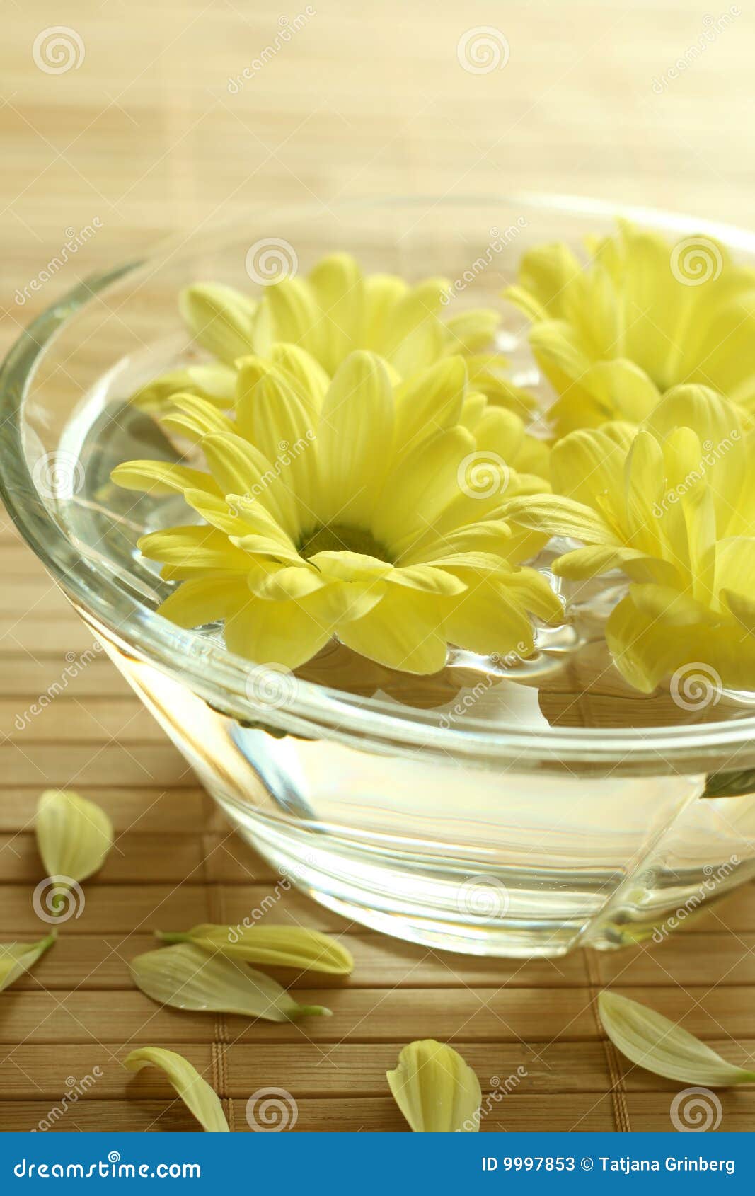 Yellow Flowers Floating in Bowl. Stock Image - Image of luxury ...