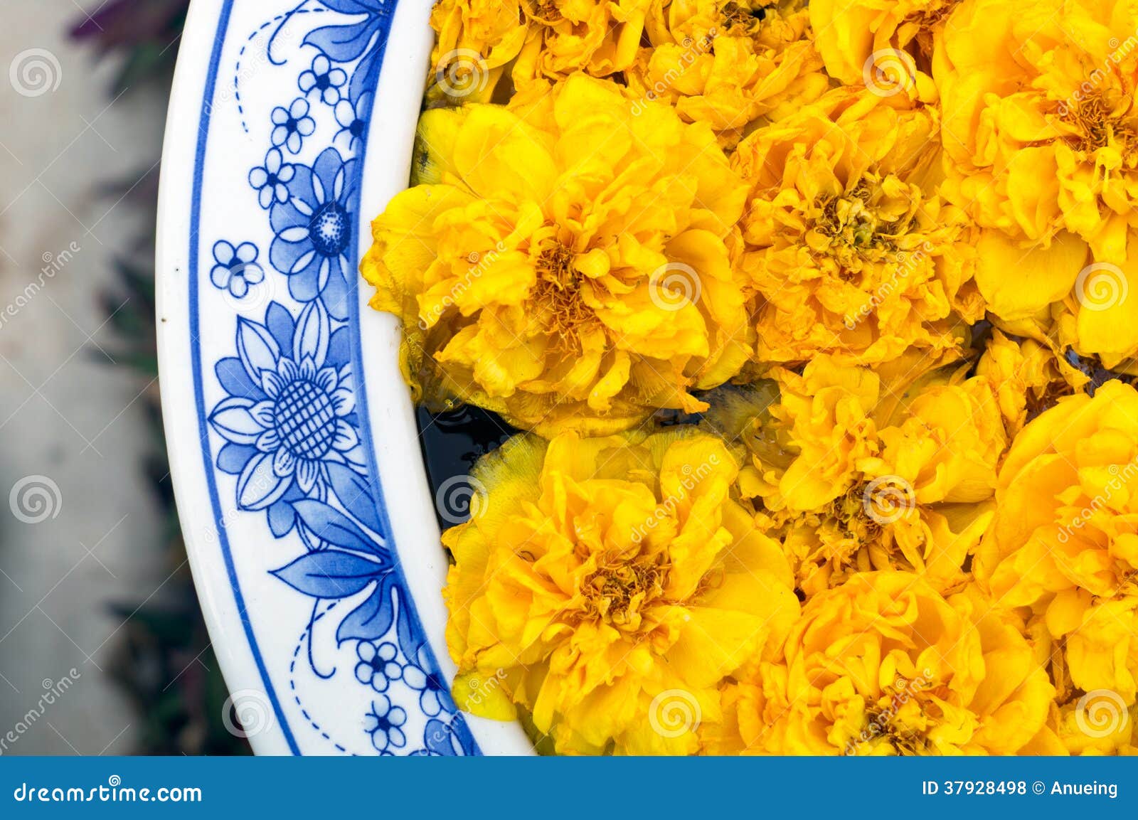 Yellow flowers stock photo. Image of ornamental, floral - 37928498