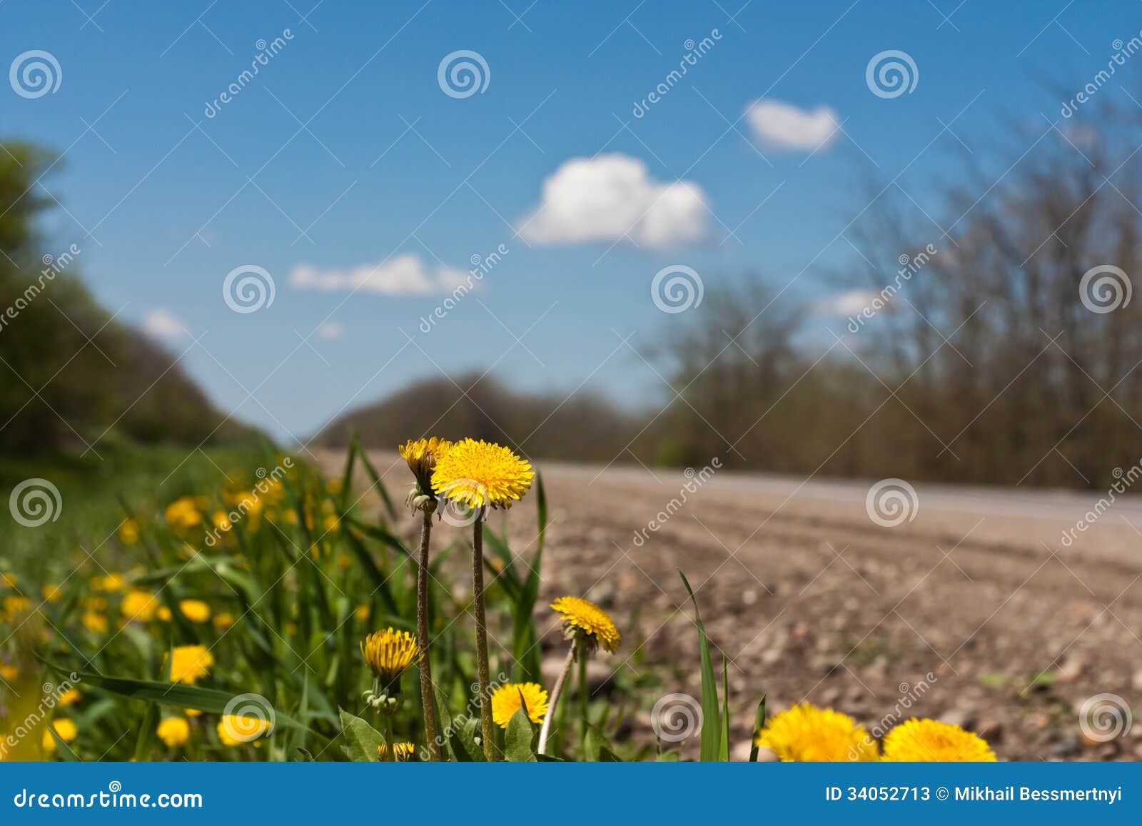 Yellow Flowers Near the Road Stock Image - Image of vegetation, clouds ...