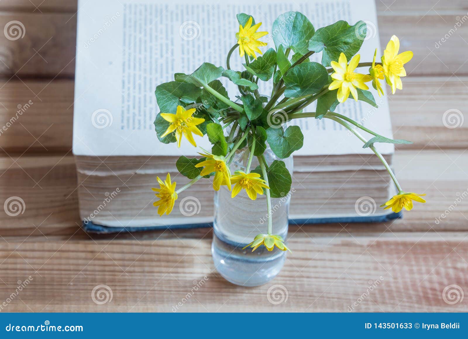 Yellow Flowers and Open Book. Flowers and Book Stock Image - Image of ...
